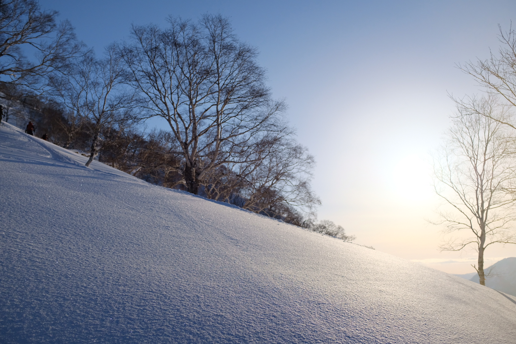 Crown Snow -Seasonal Blend Coffee- スプラウト ニセコ | SPROUT NISEKO