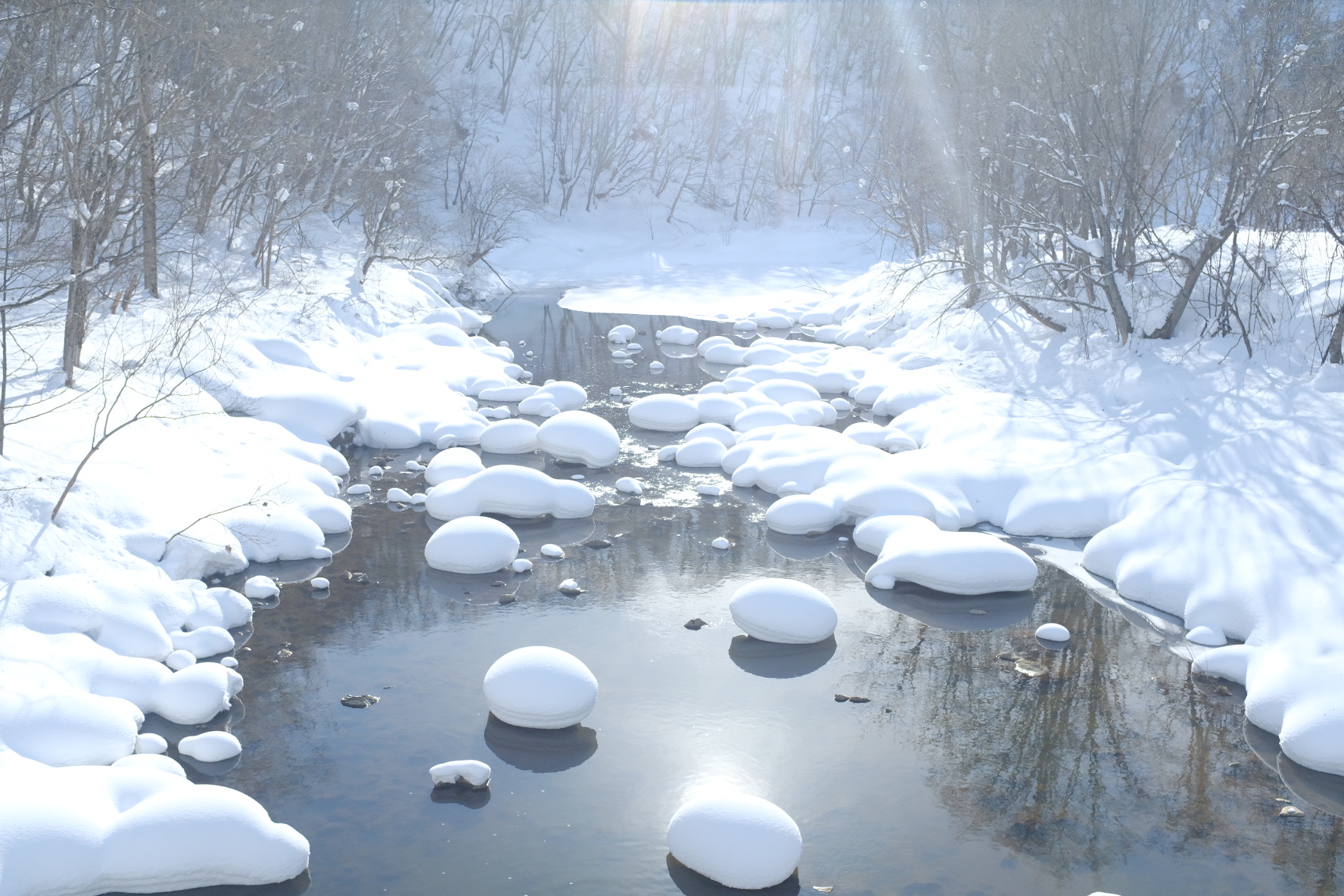 CROWN SNOW BLEND 2024 -Seasonal Blend Coffee- スプラウト ニセコ | SPROUT NISEKO